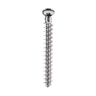 Cancellous screw store